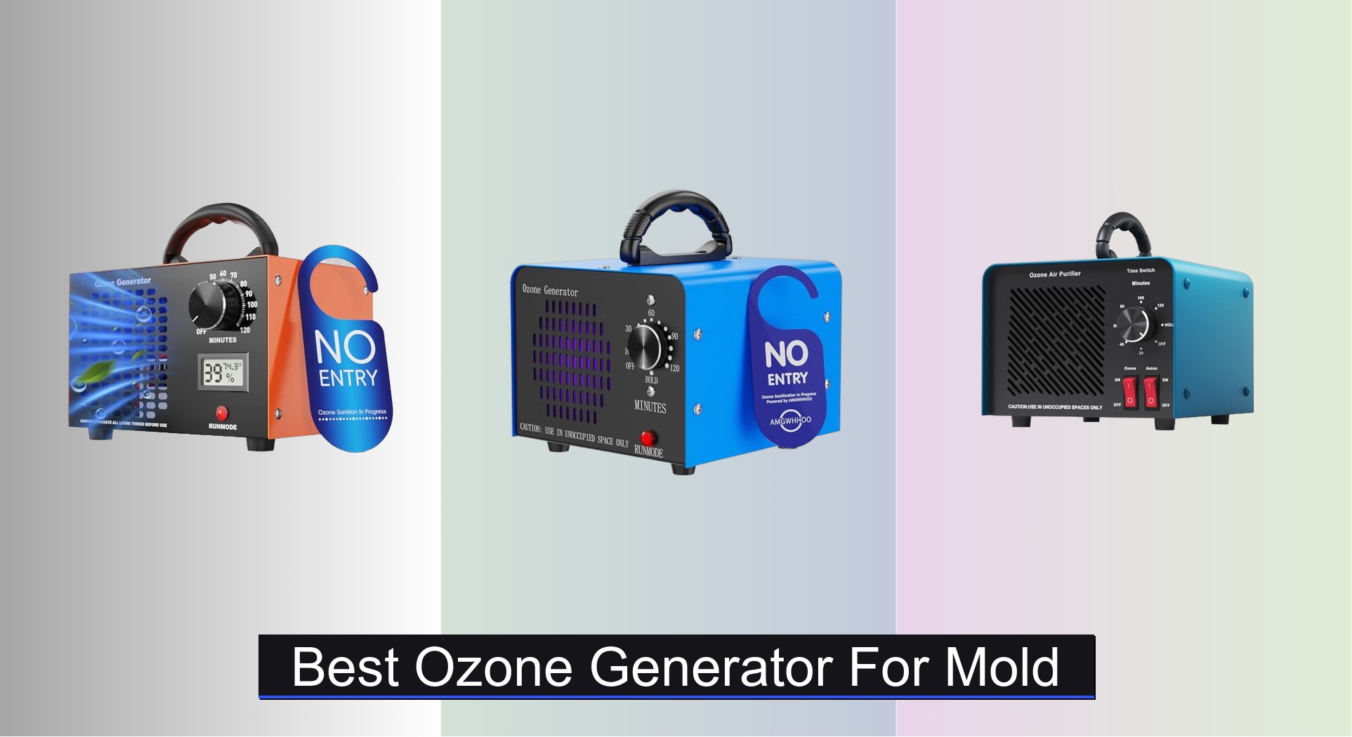 Ozone Generator And Mold